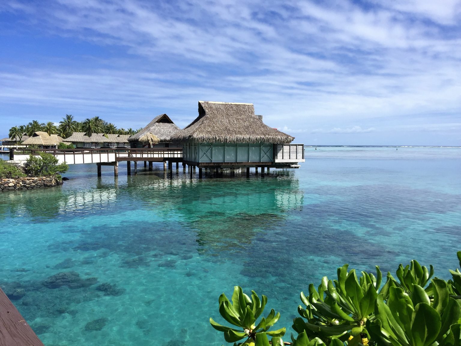 Your Ultimate Moorea Vacation Guide | Porthole Cruise Magazine
