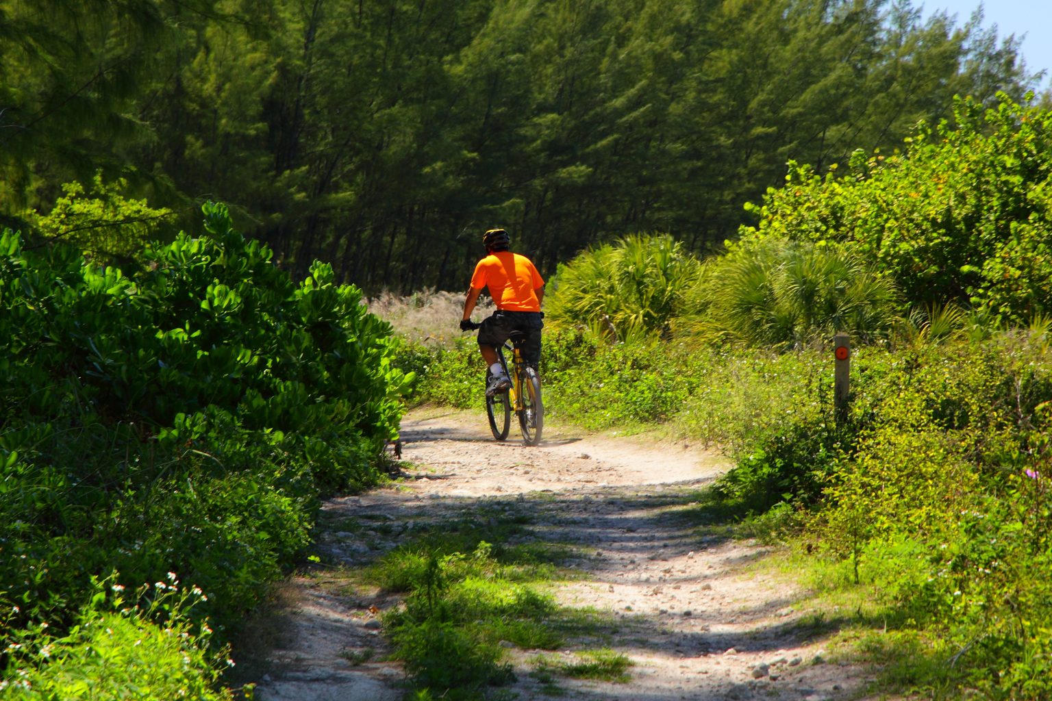 Break a Sweat Before You Cruise from Miami | Porthole Cruise Magazine