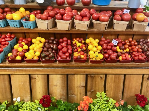 A Cruiser’s Guide to Quebec City | Porthole Cruise Magazine
