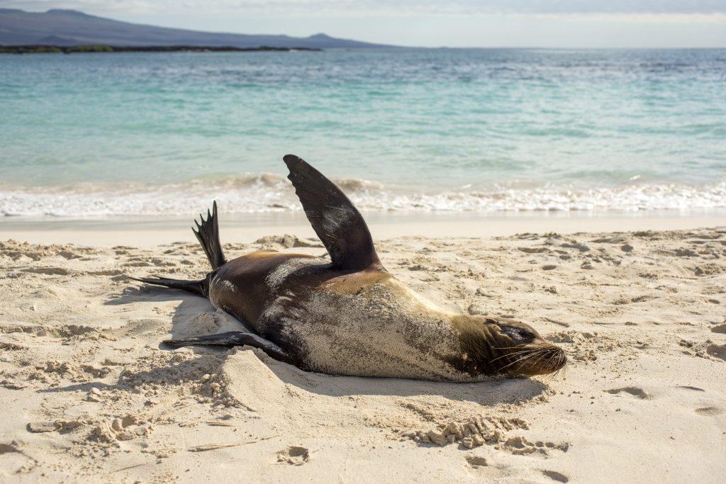 Ecoventura to Offer Photography-Themed Galapagos Cruises This Fall ...