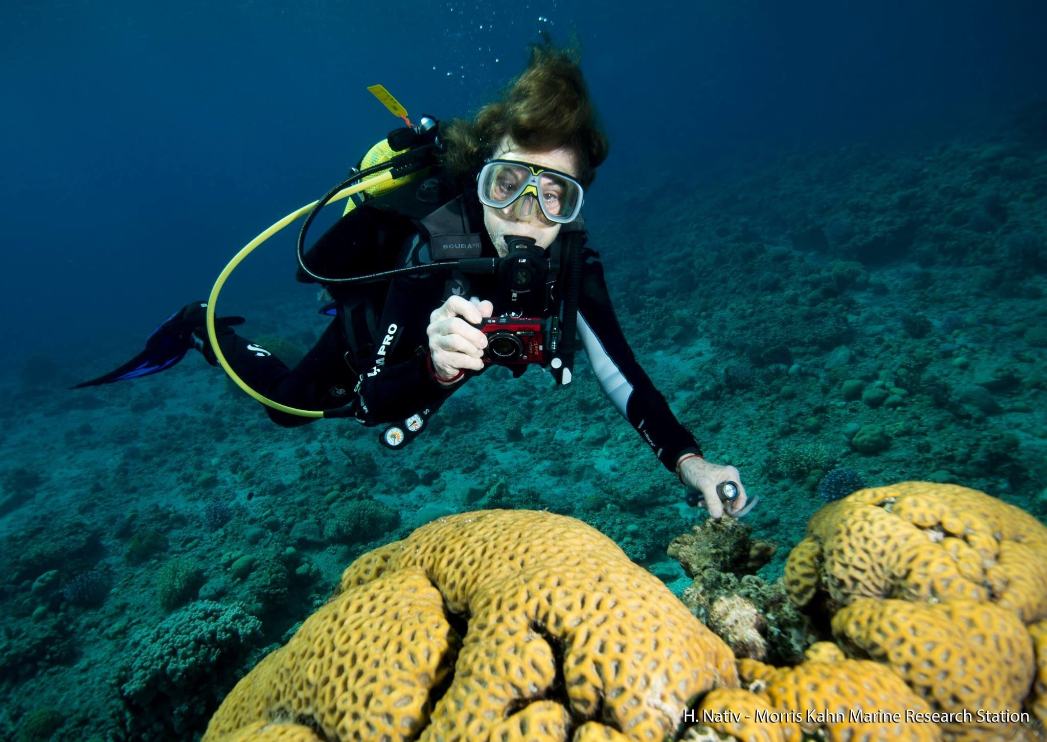 Explora Journeys Names Dr. Sylvia Earle As Godmother For Explora I ...
