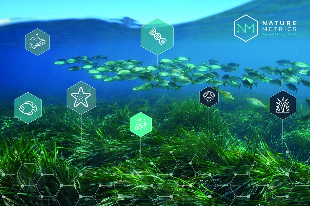 NatureMetrics, MSC Cruises, And MSC Foundation Team Up To Educate On ...