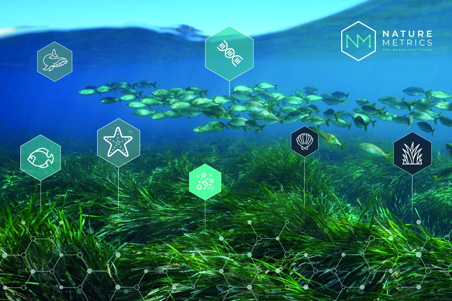 NatureMetrics, MSC Cruises, And MSC Foundation Team Up To Educate On ...