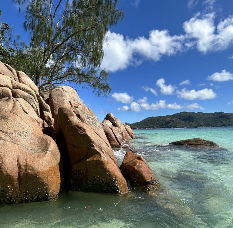 Meet the Newest Princess at Sea | Porthole Cruise Magazine